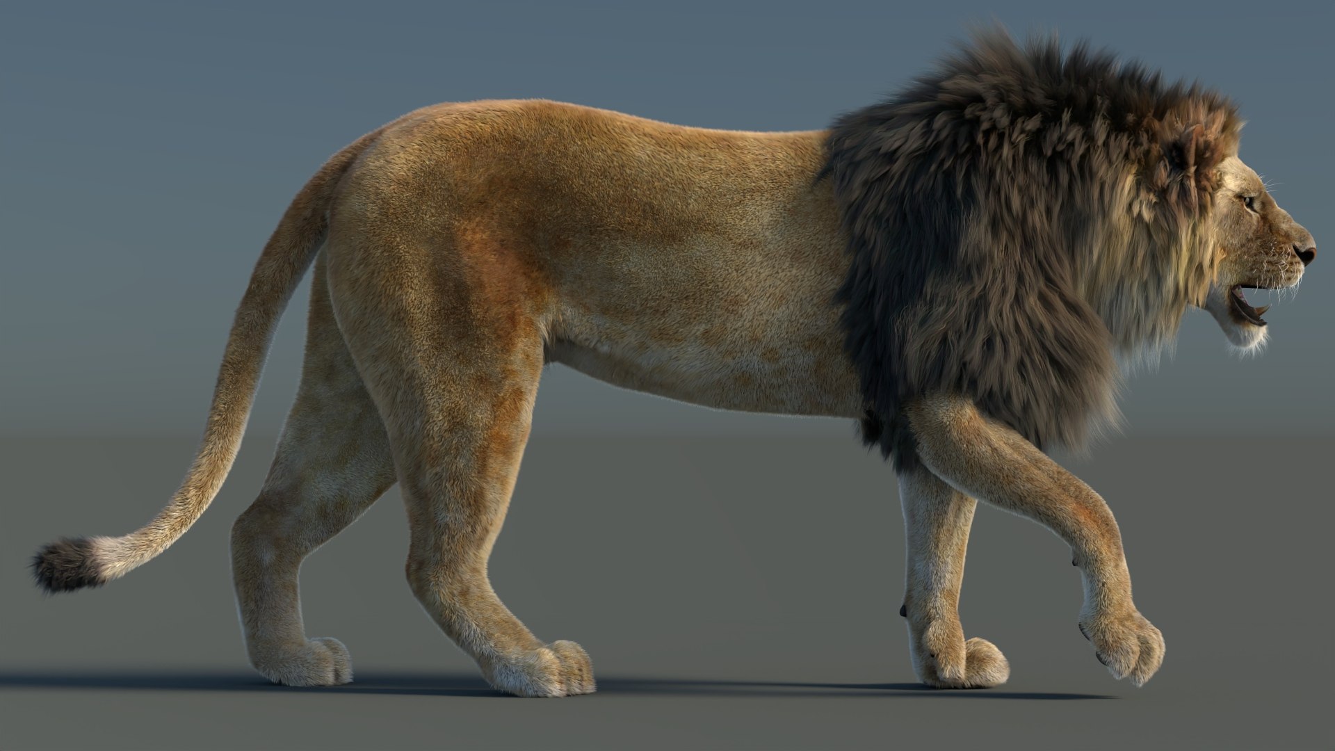 Animated Lion 3D Model Fur 3D Model - TurboSquid 2323992