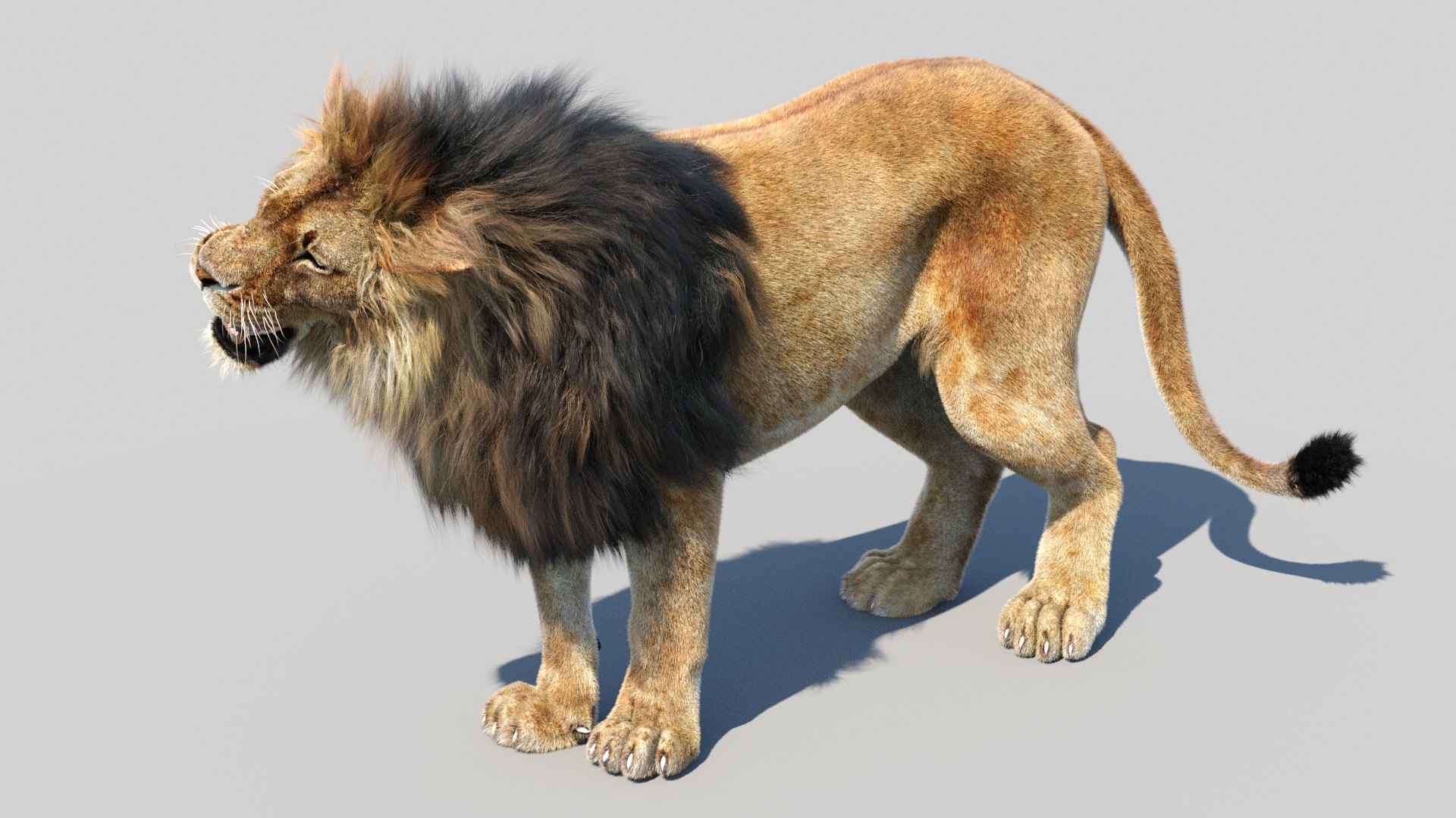 Animated Lion 3D Model Fur 3D Model - TurboSquid 2323992