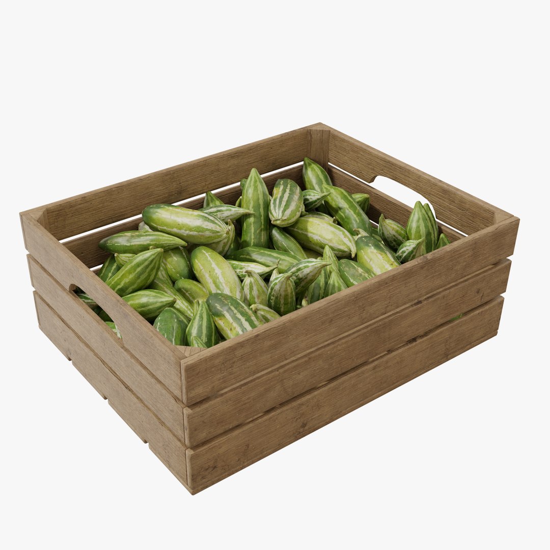 Snake gourd crates 3D - TurboSquid 1967174