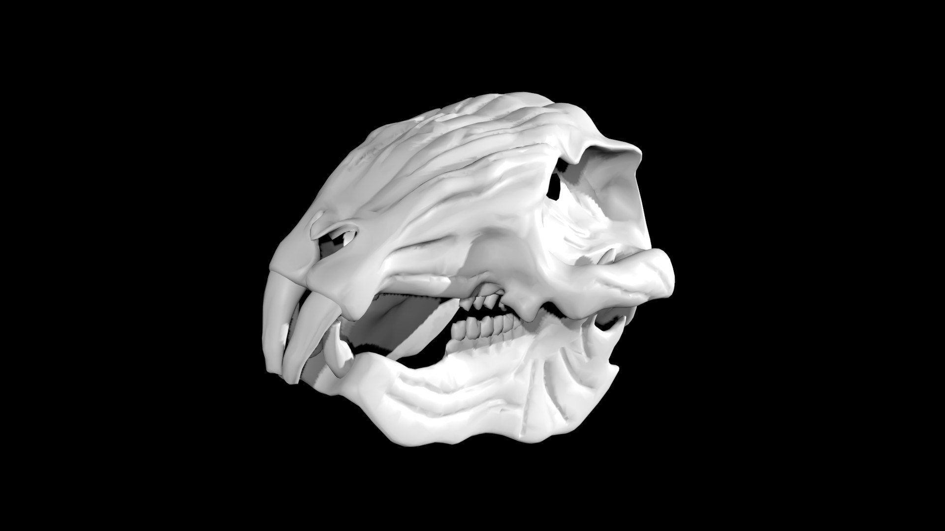 3D Rabbit Skull - TurboSquid 1885810