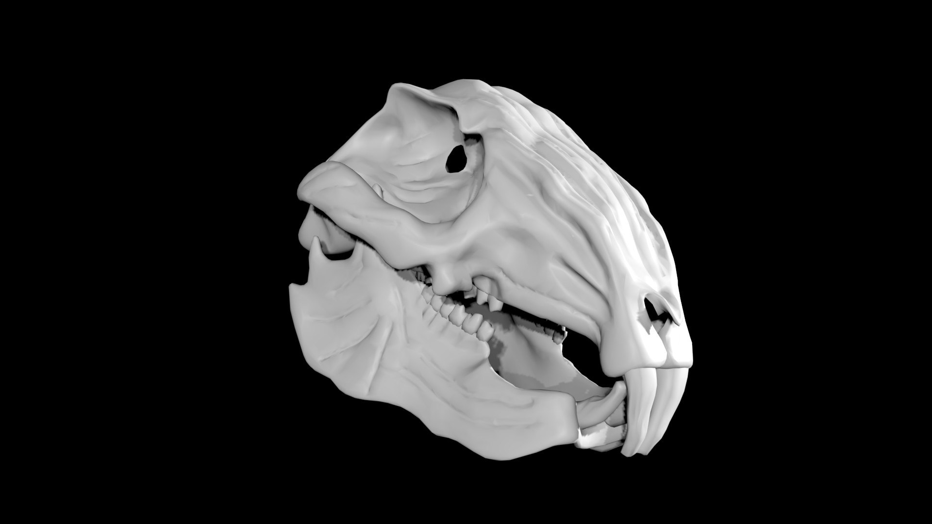 3D Rabbit Skull - TurboSquid 1885810
