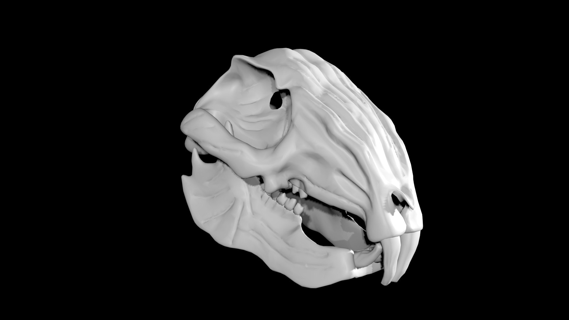 3D Rabbit Skull - TurboSquid 1885810