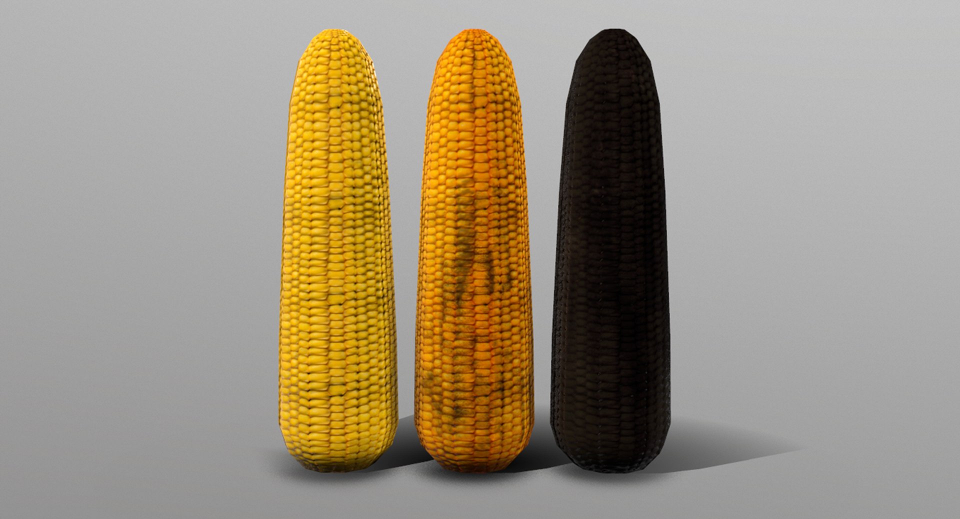 3D Corn Ready Games - TurboSquid 1289485