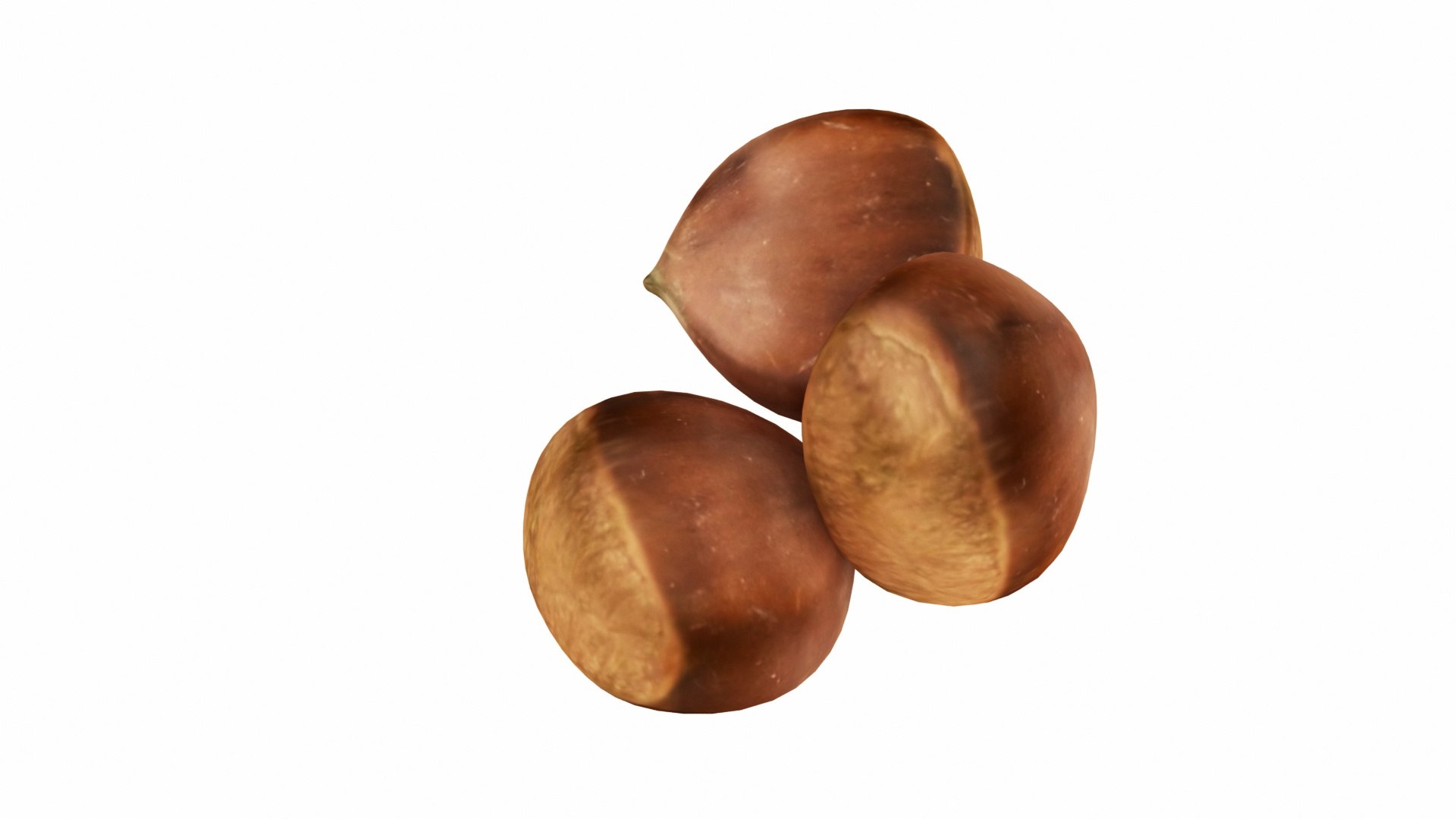 Chest Nut 3D Model - TurboSquid 1555781