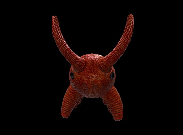 Peripatus 3D model - TurboSquid 1552255