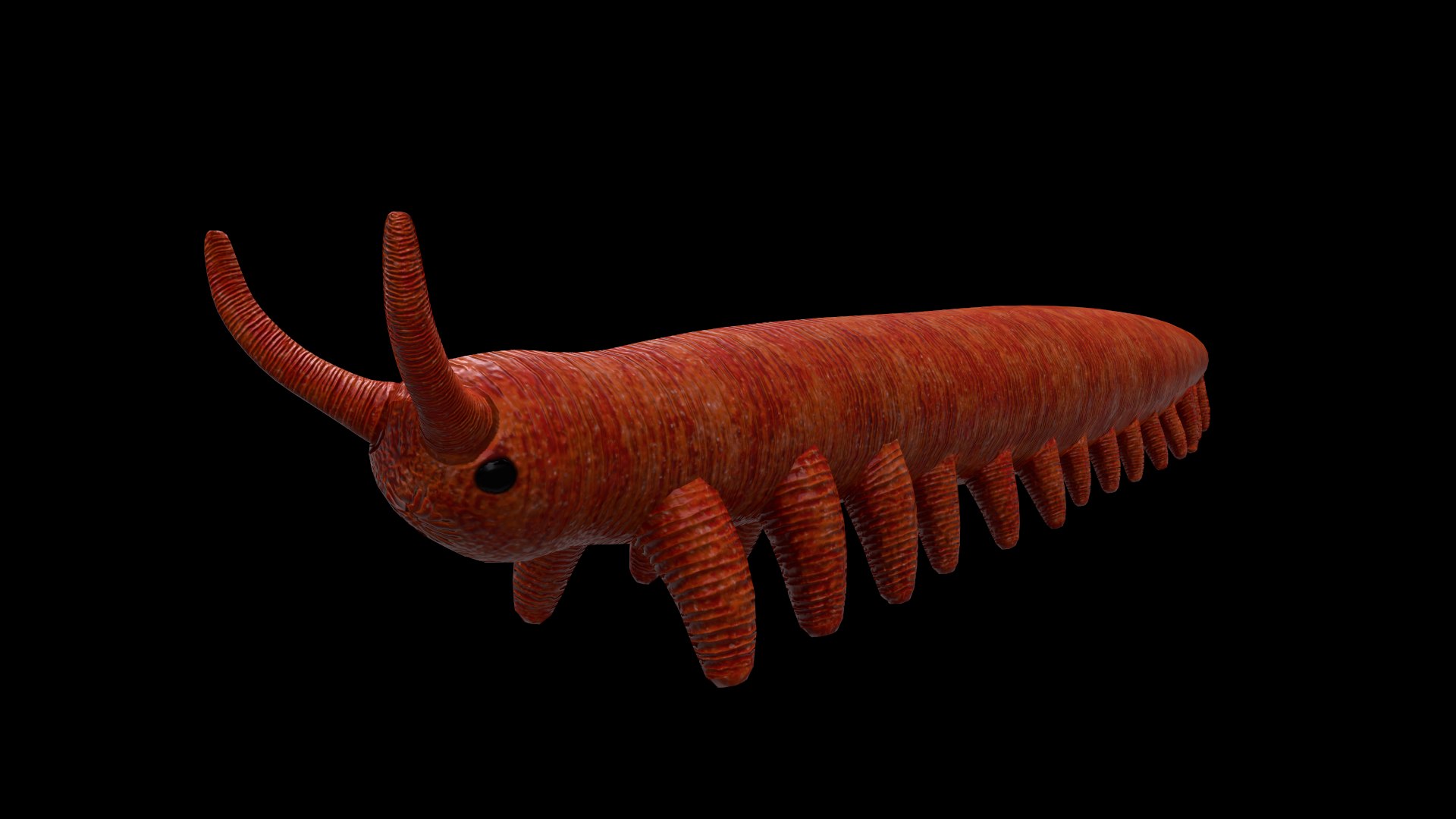 Peripatus 3D model - TurboSquid 1552255