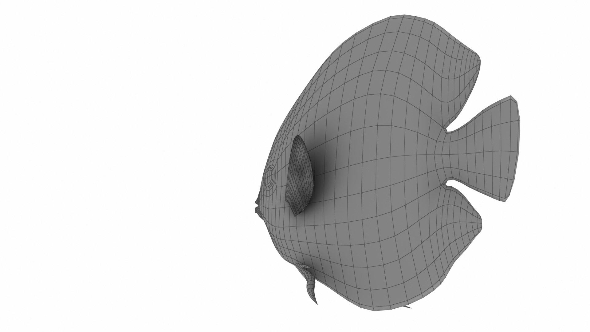 Realistic Discus Fish 3D Model - TurboSquid 1479258