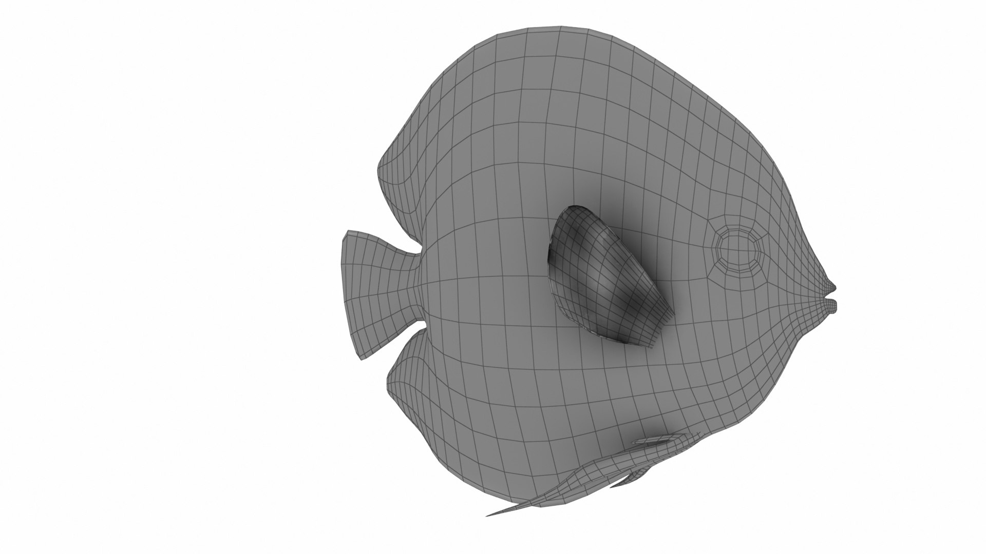 Realistic discus fish 3D model - TurboSquid 1479258