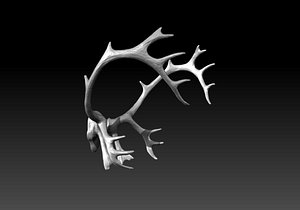 3D Antlers Models | TurboSquid