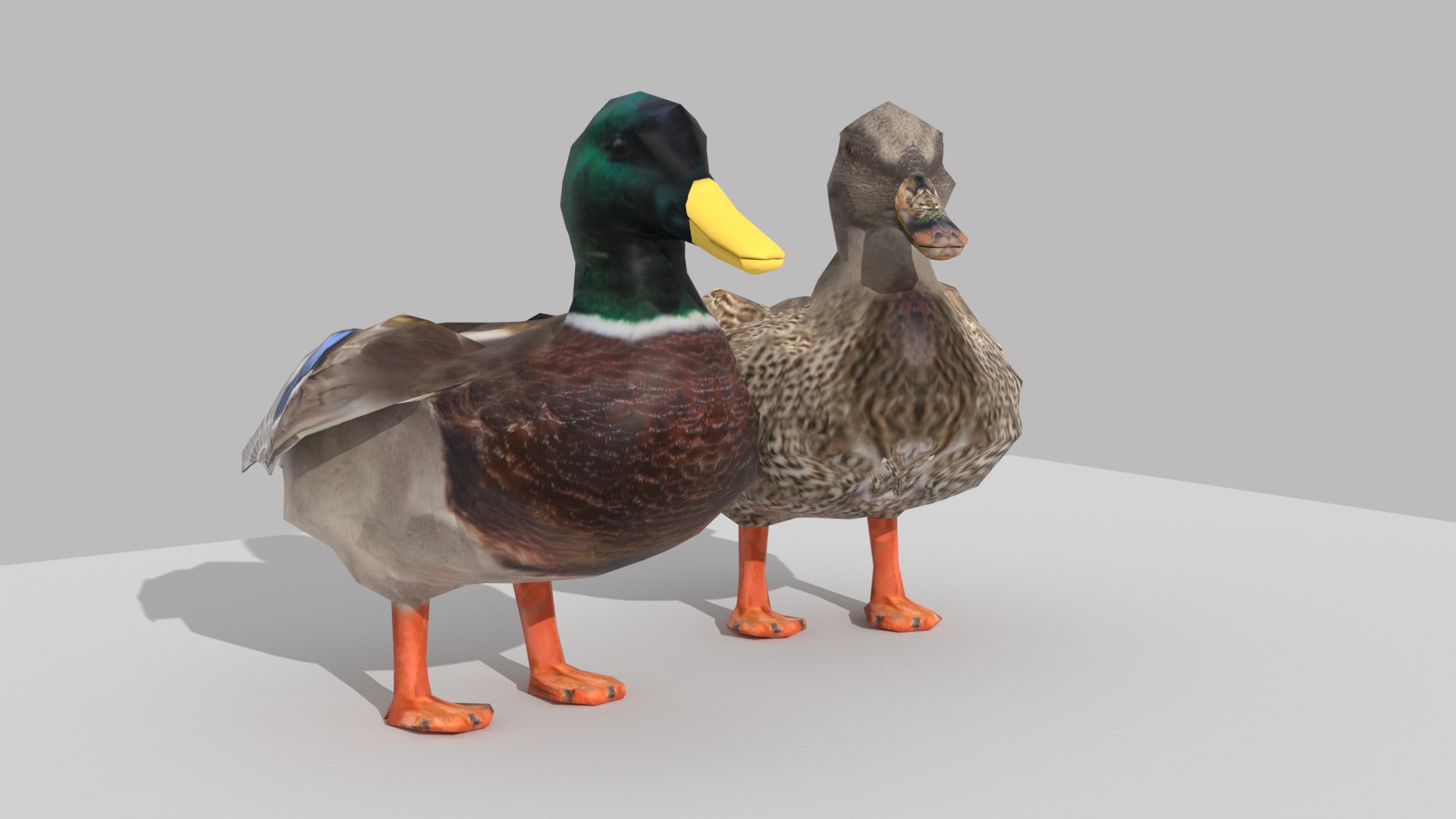 Duck 3D Model - TurboSquid 1975471