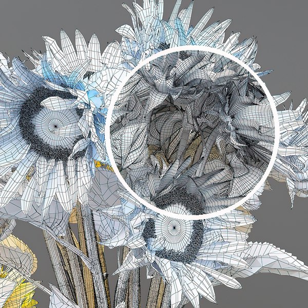 Bouquets sunflowers 3D model - TurboSquid 1710662