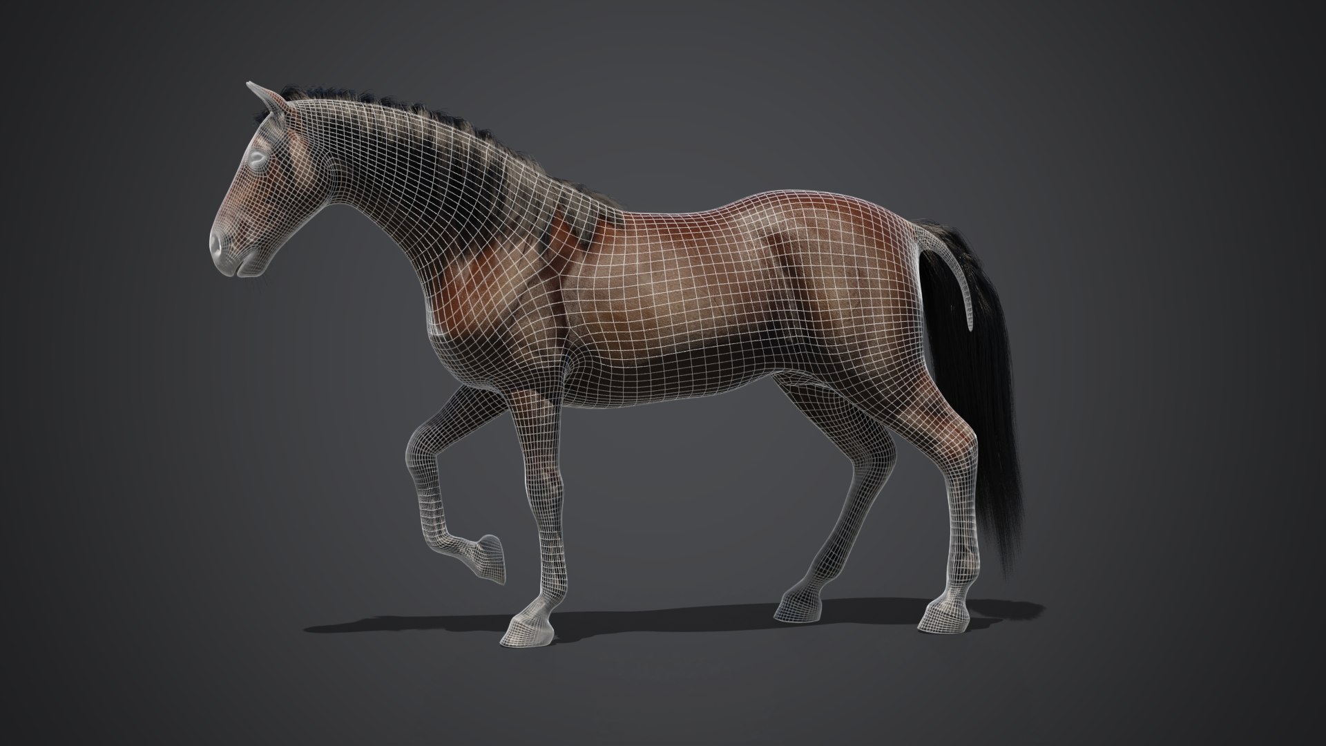3D Model Horse Animated - TurboSquid 2219433