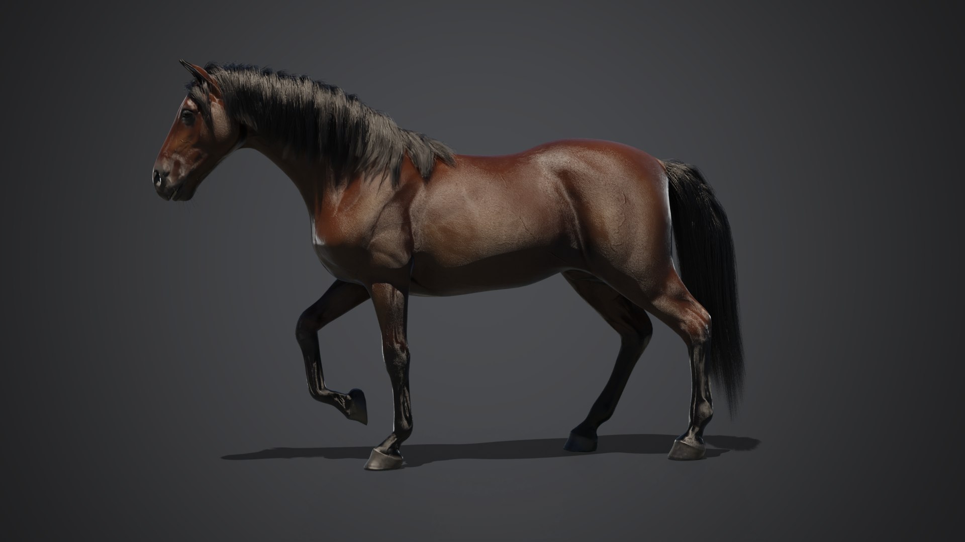 3D Model Horse Animated - TurboSquid 2219433