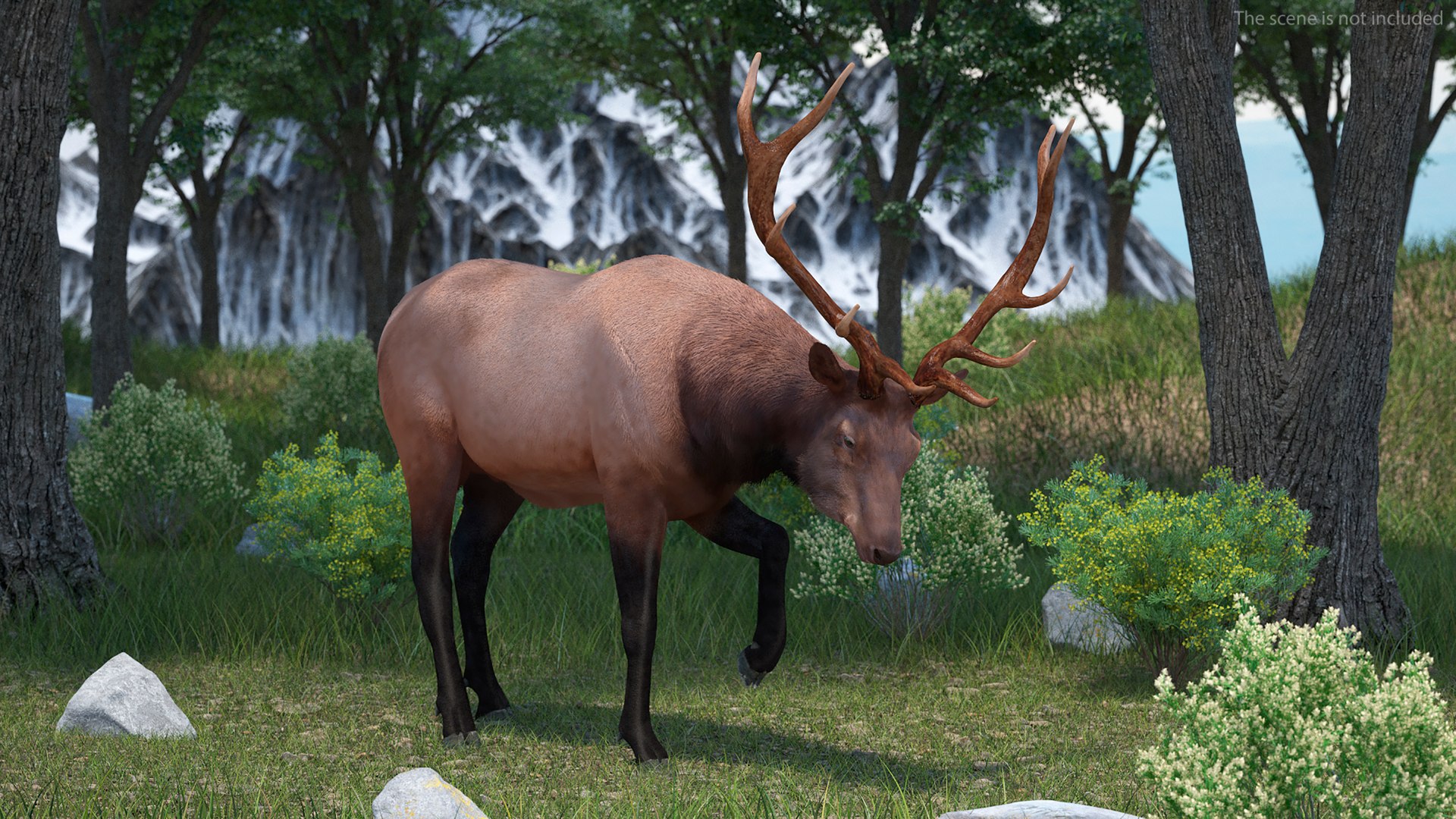 Wapiti With Fur For Maya 3D Model - TurboSquid 2288169