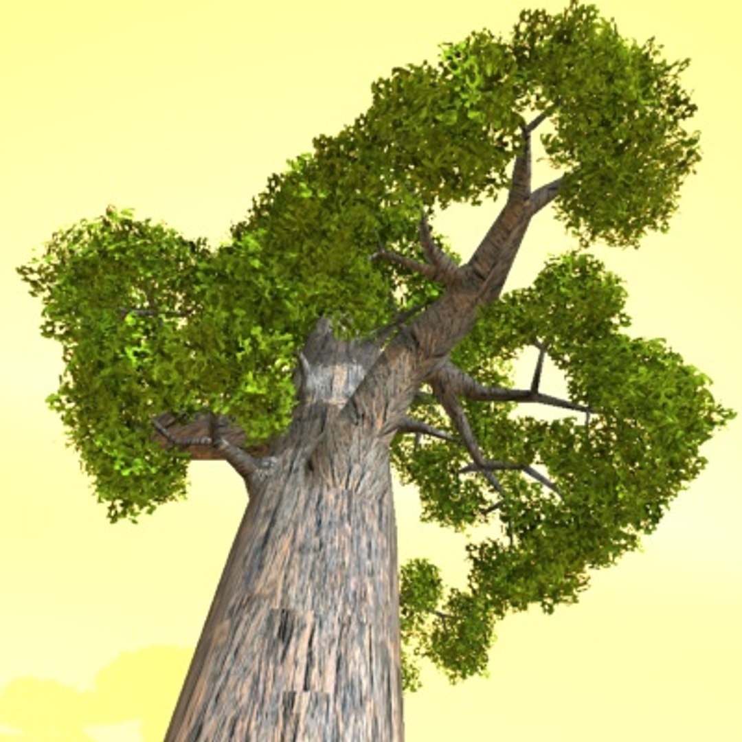 3d north redwood wood