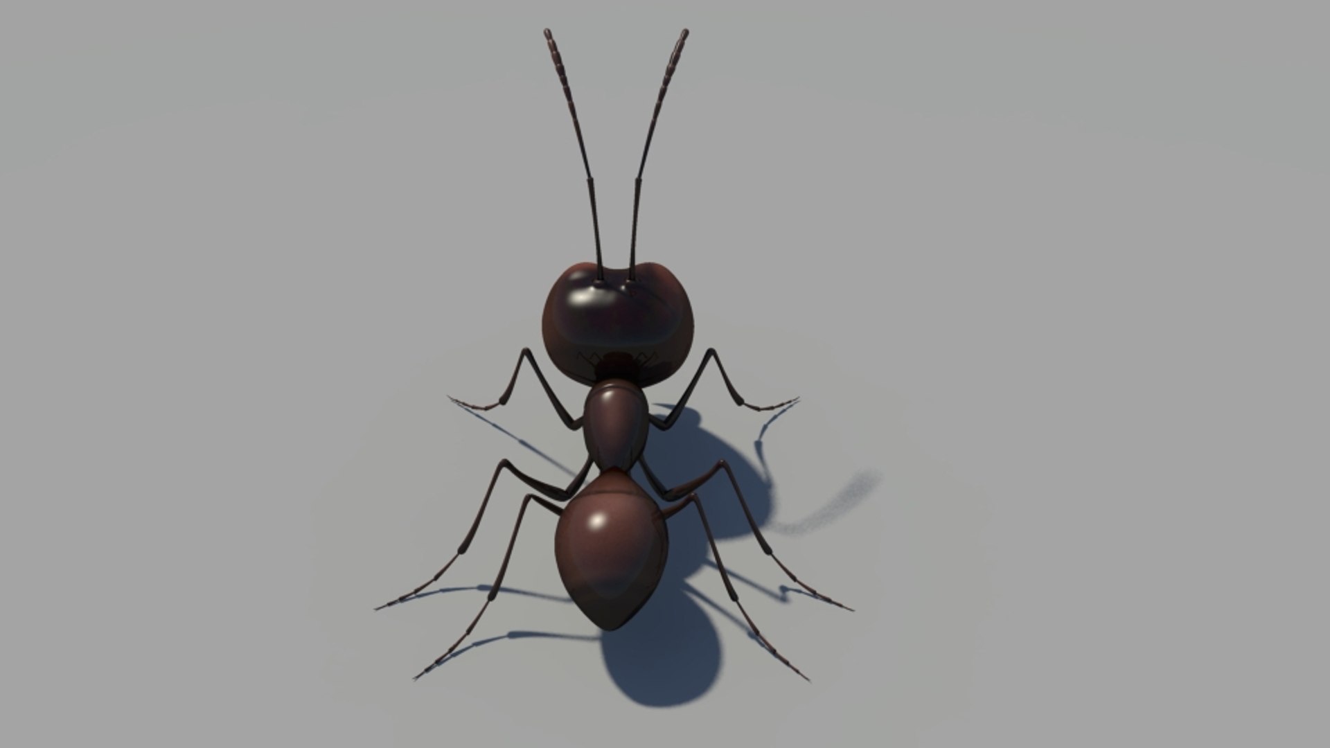 3d Ma Ant Cartoon