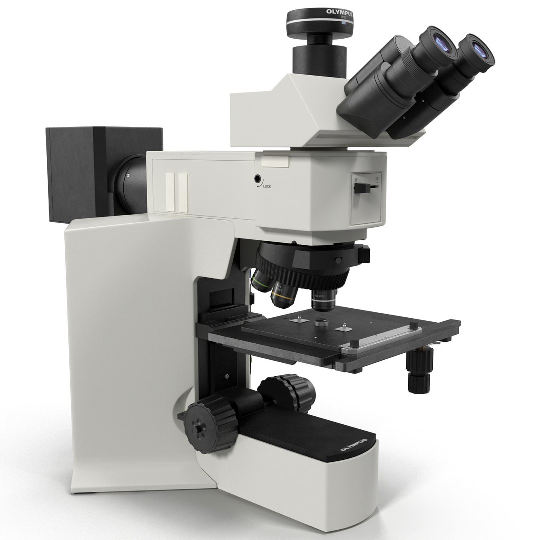microscope olympus bx51m 3d model