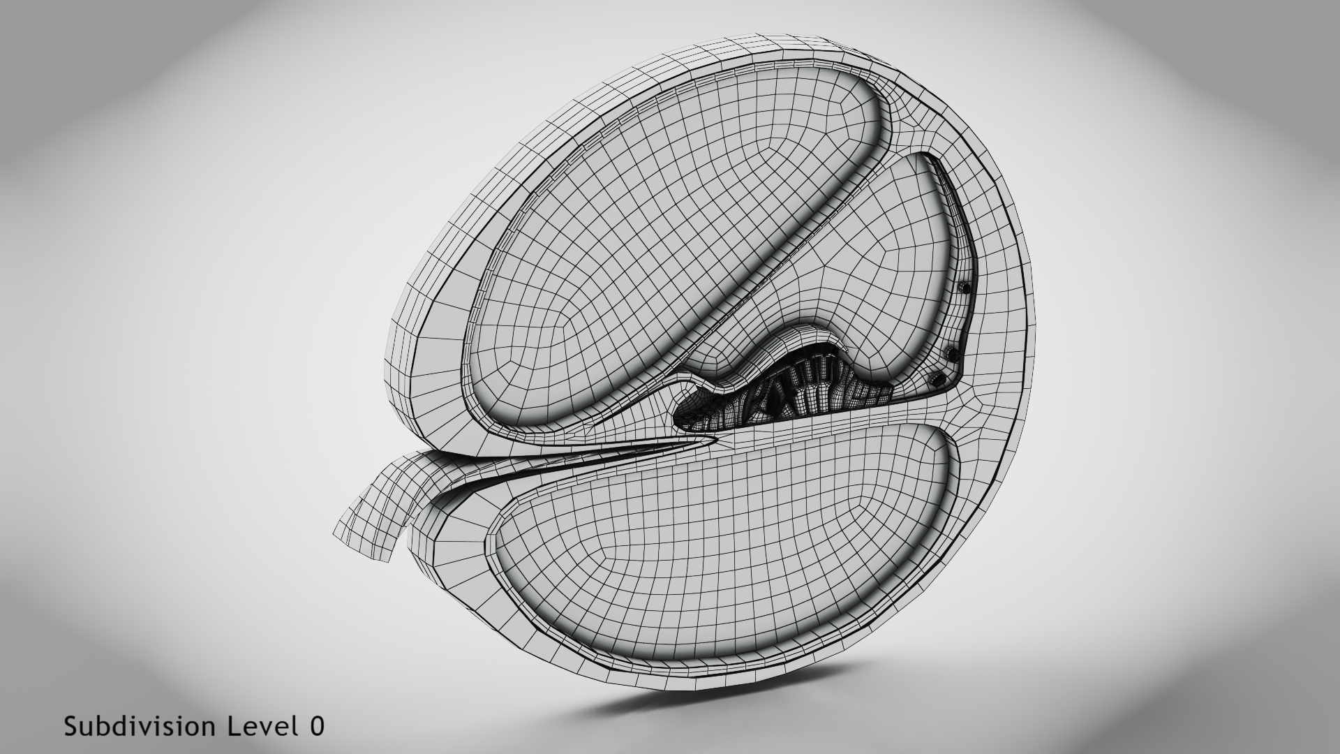 3D Cochlea cross section - TurboSquid 2132309