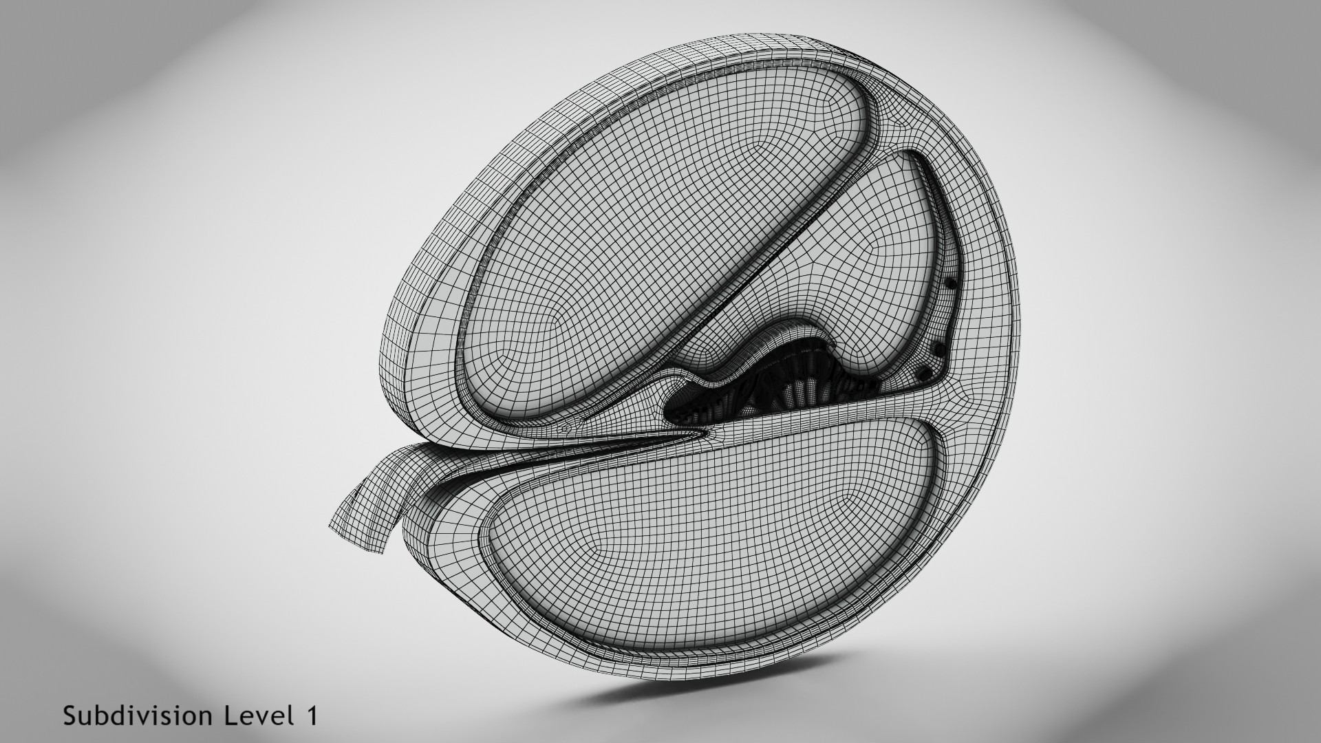 3D Cochlea cross section - TurboSquid 2132309