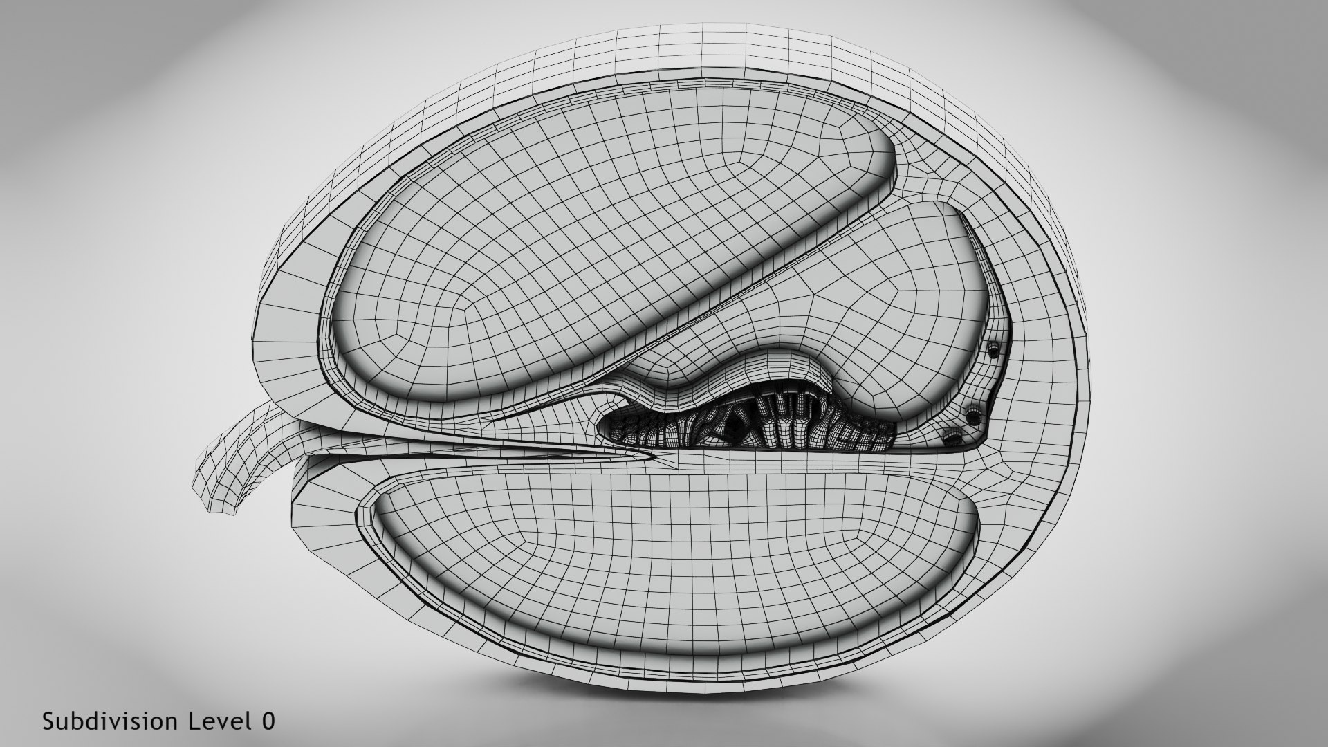 3D Cochlea cross section - TurboSquid 2132309