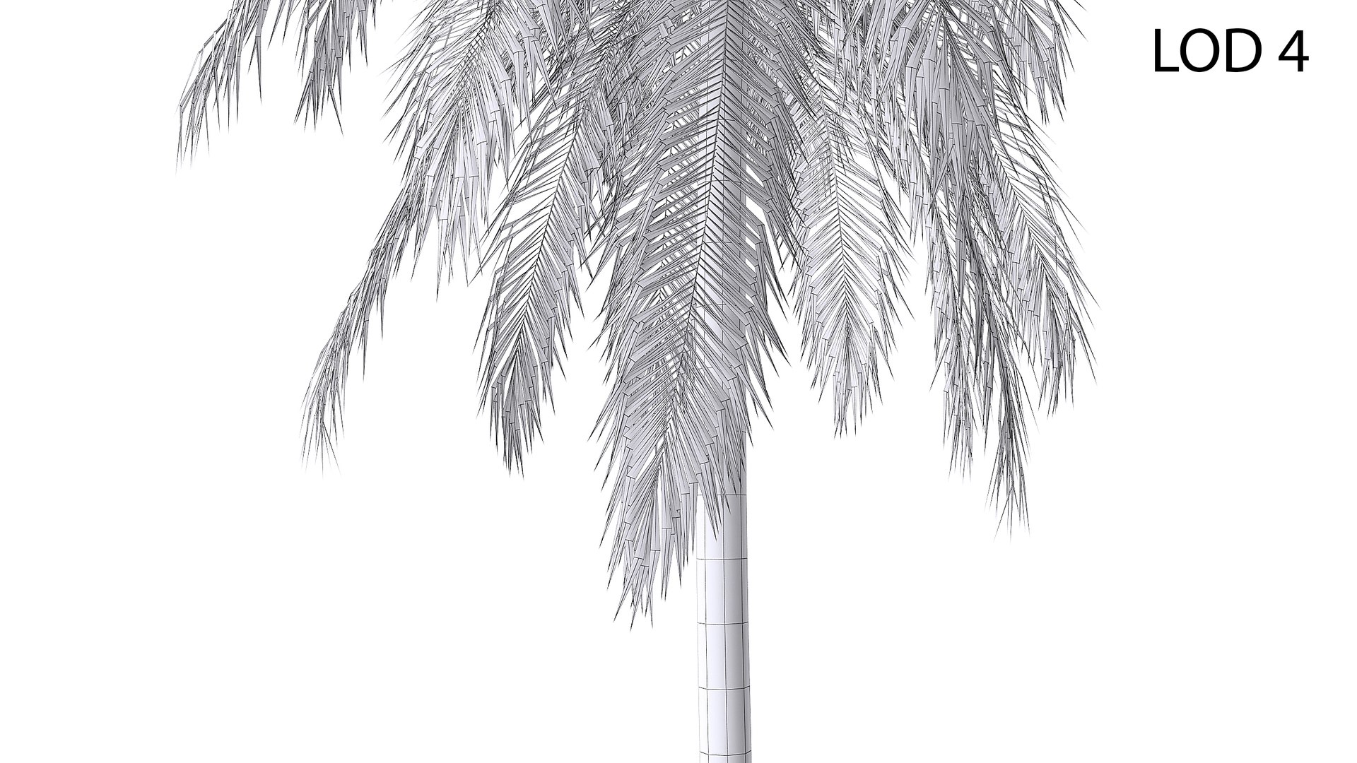 3D Model Palm 02 - TurboSquid 2441419