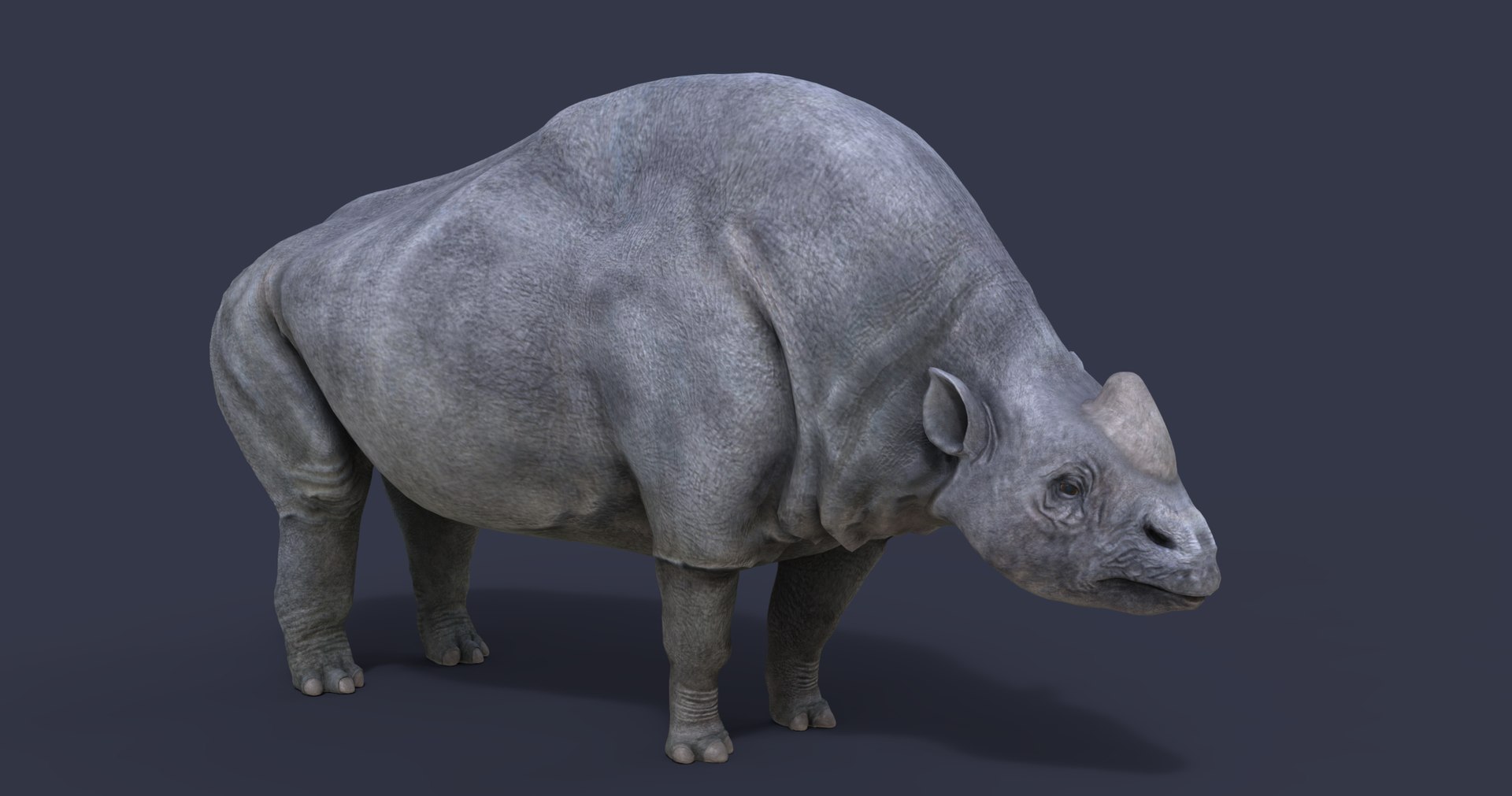 3D Elasmotherium model - TurboSquid 1829307