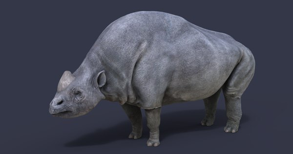 3D Elasmotherium model - TurboSquid 1829307