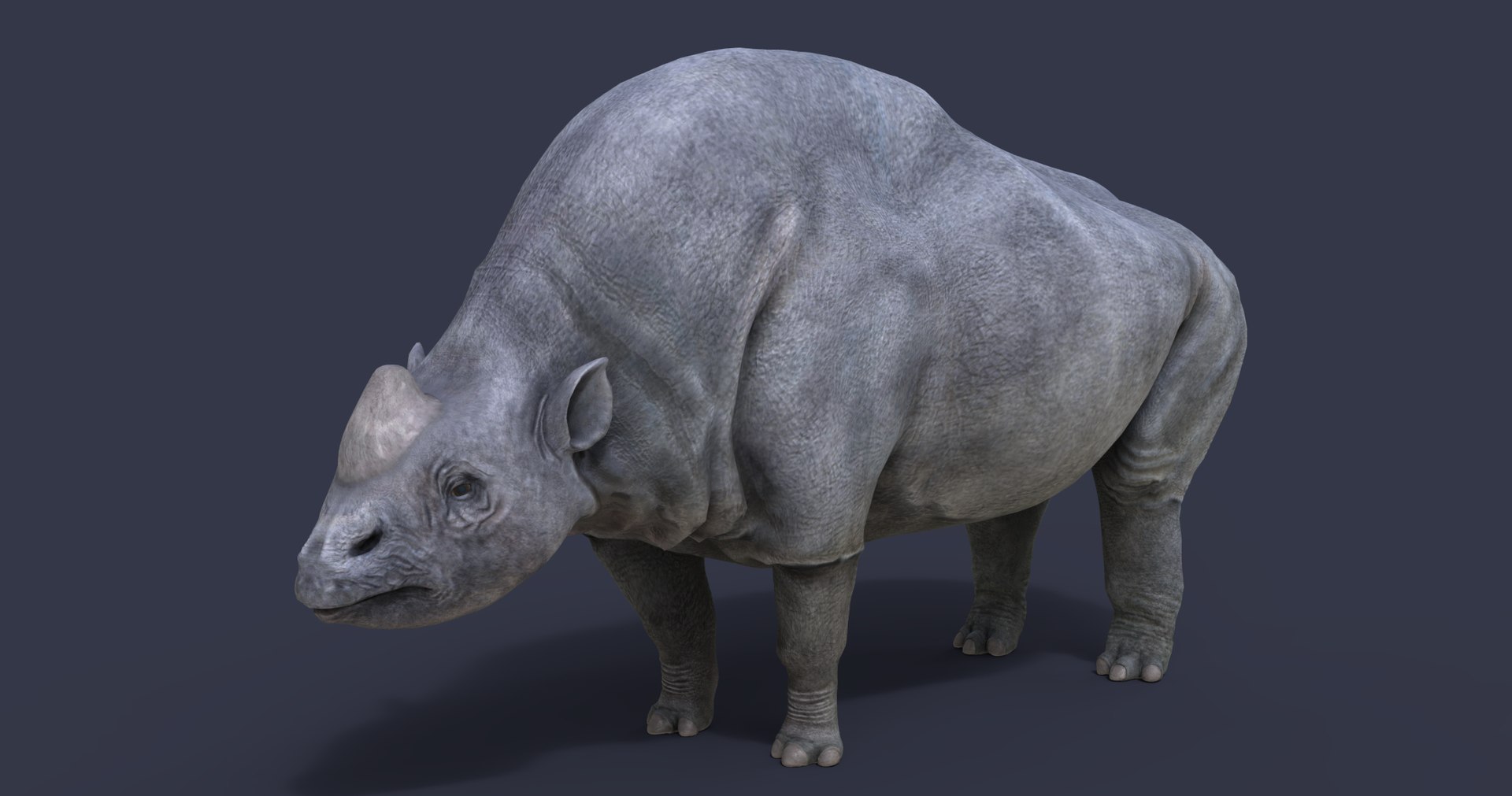 3D Elasmotherium model - TurboSquid 1829307