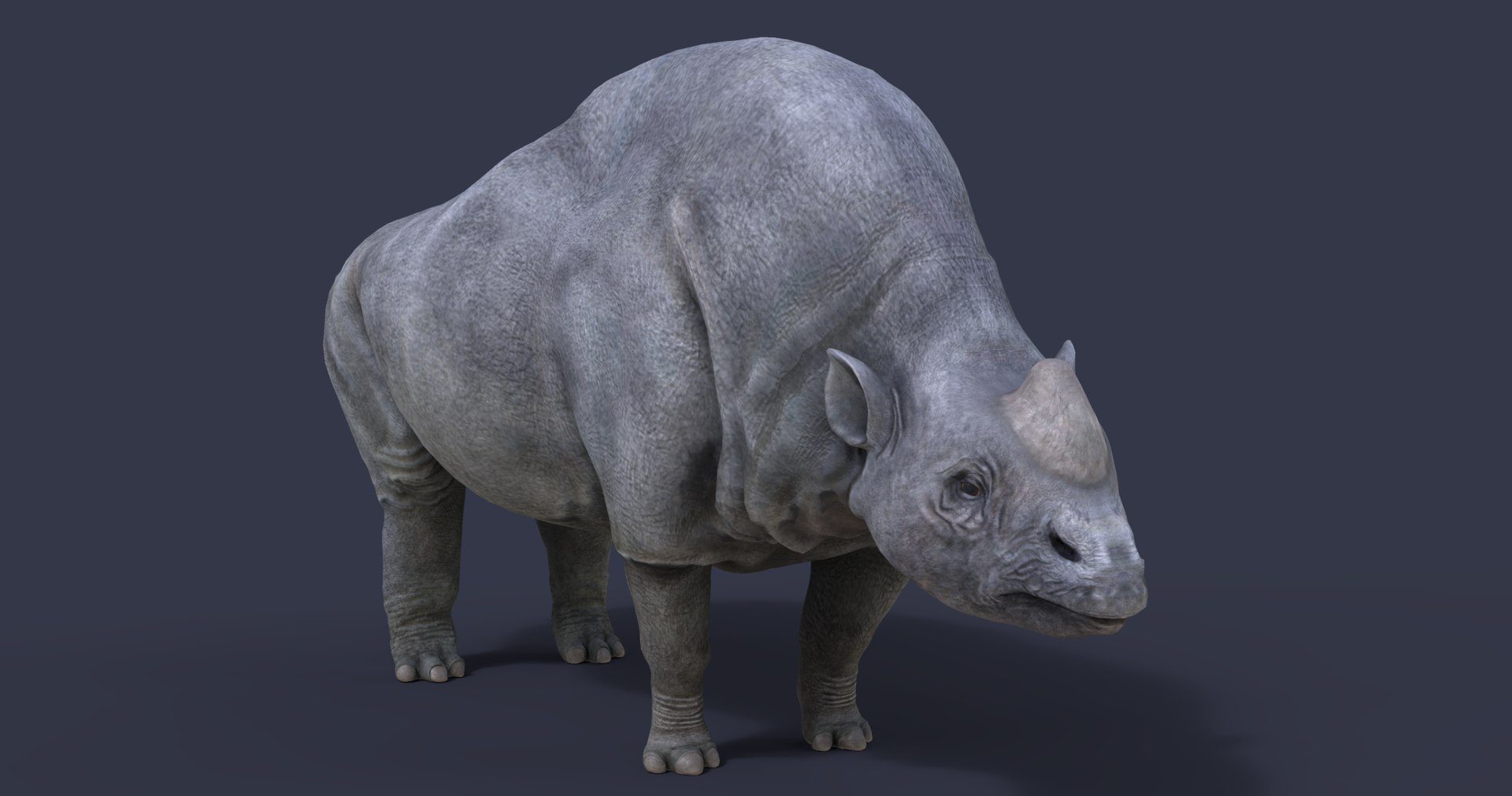 3D Elasmotherium model - TurboSquid 1829307