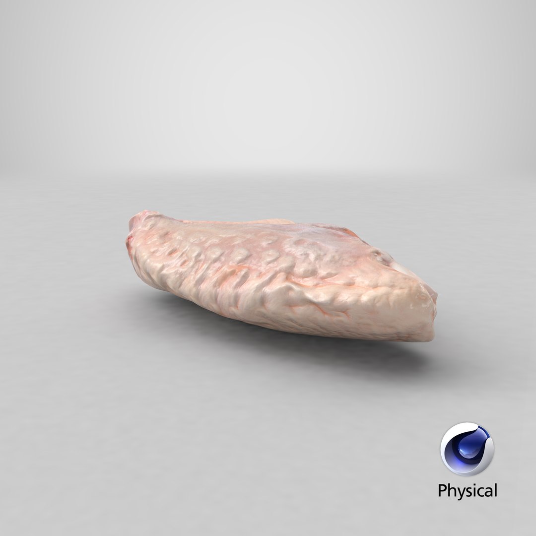 Fresh Raw Chicken Middle Wing V1 3D Model - TurboSquid 2056939