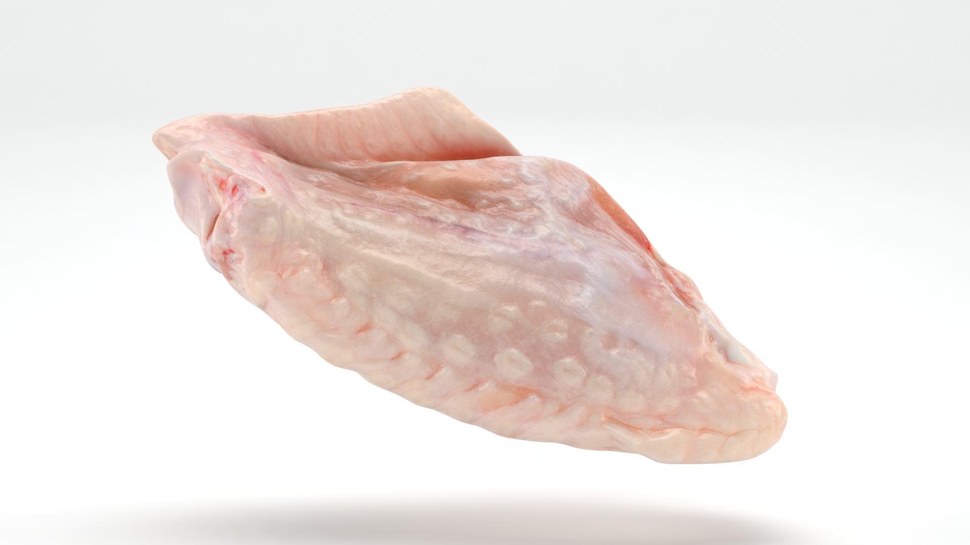 Fresh Raw Chicken Middle Wing V1 3D Model - TurboSquid 2056939