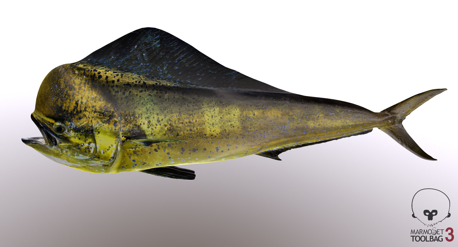 3D fish wahoo barracuda - TurboSquid 1296624