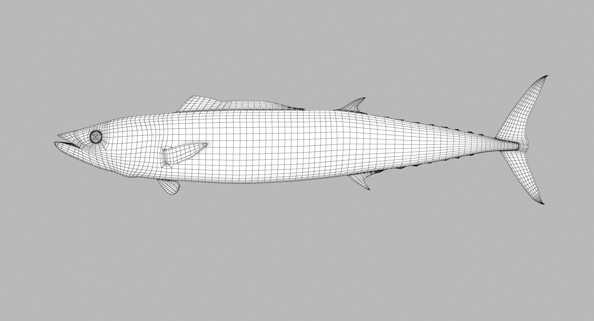 3D fish wahoo barracuda - TurboSquid 1296624