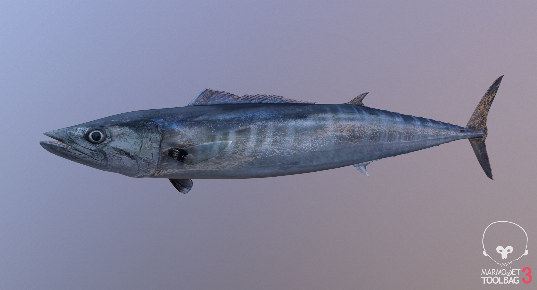 3D fish wahoo barracuda - TurboSquid 1296624
