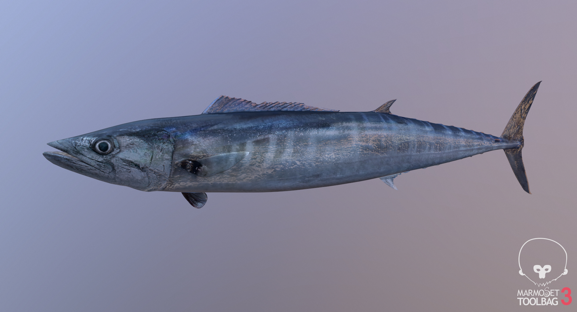 3D fish wahoo barracuda - TurboSquid 1296624