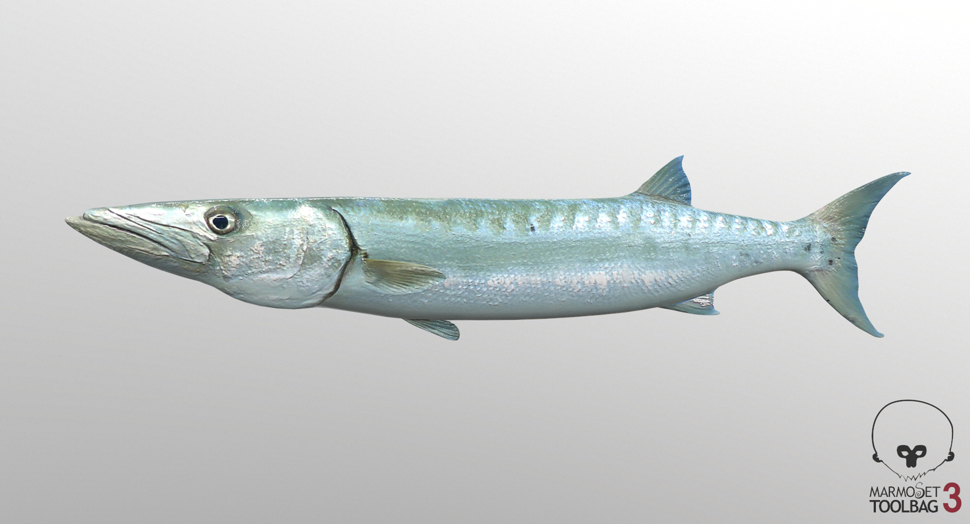 3D fish wahoo barracuda - TurboSquid 1296624