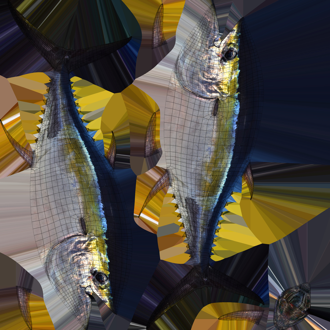 3D fish wahoo barracuda - TurboSquid 1296624