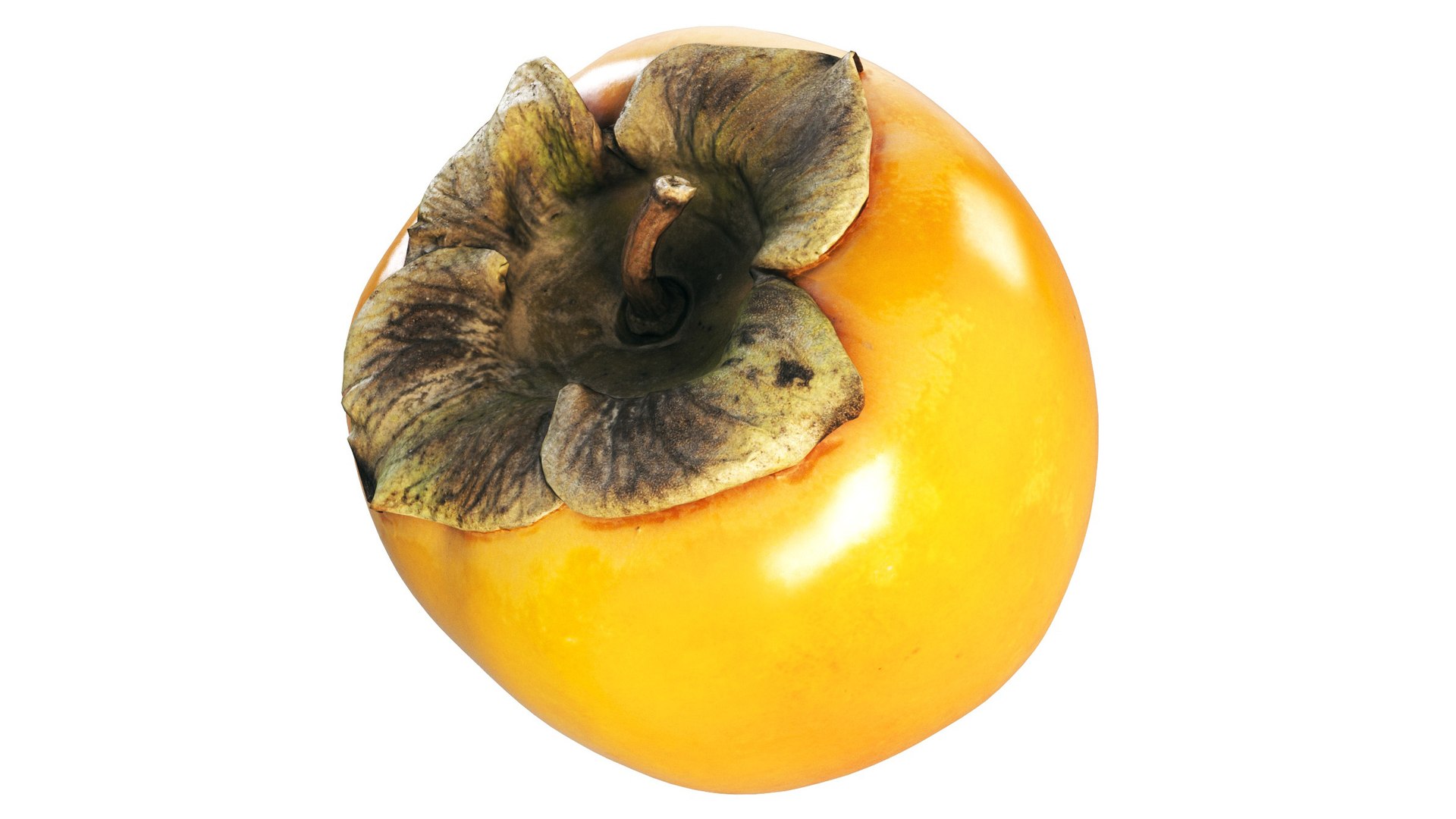 Persimmon Scanned 4k 3D Model - TurboSquid 1859668