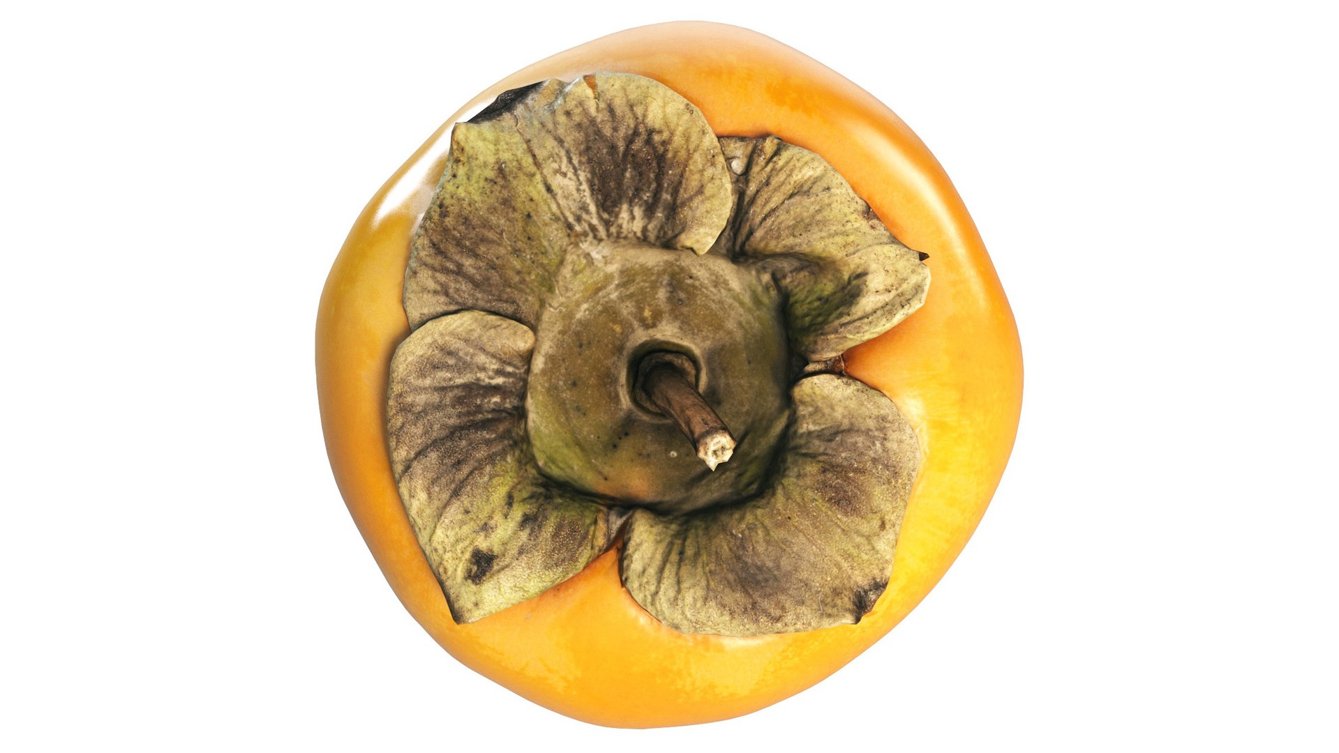 Persimmon Scanned 4k 3D Model - TurboSquid 1859668