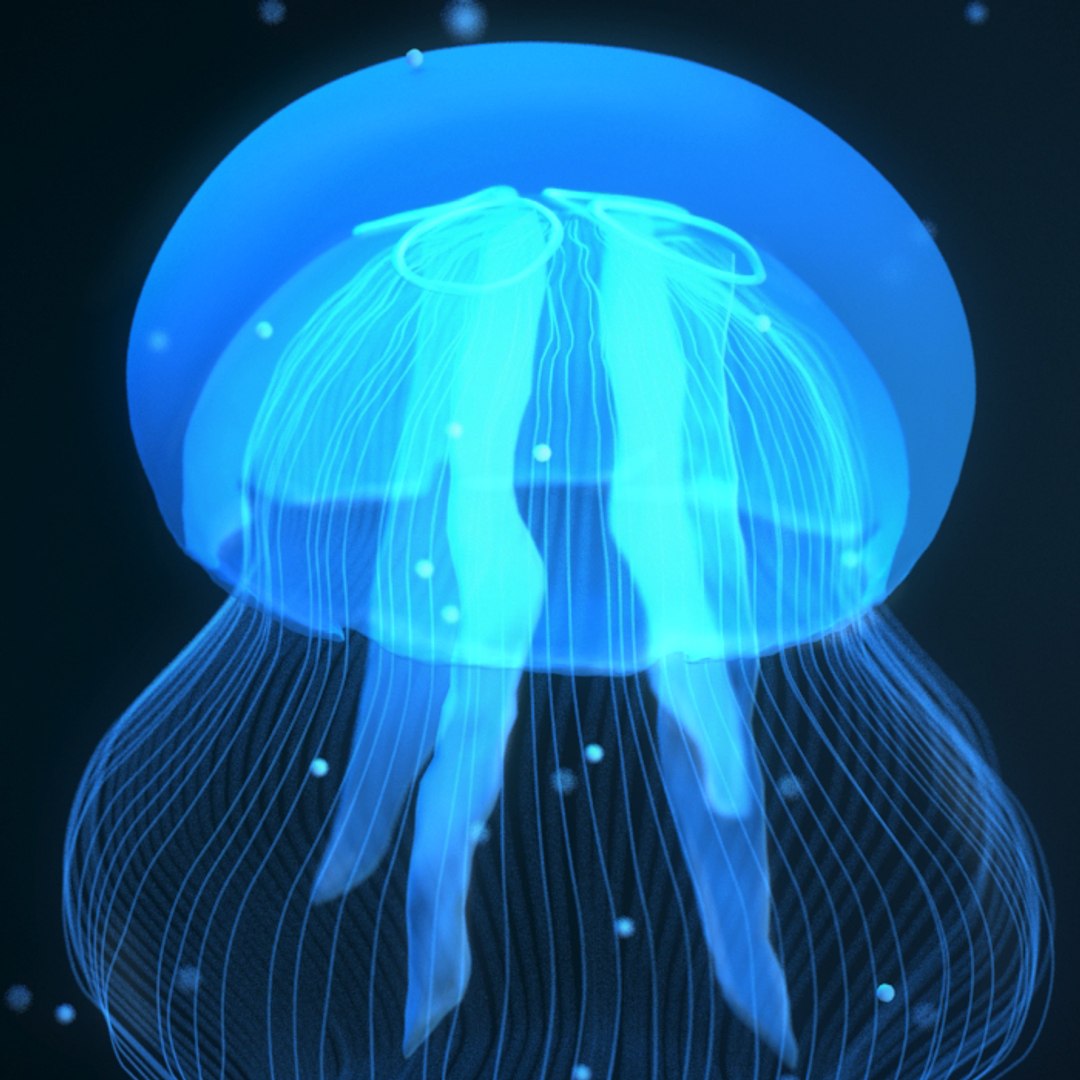 Obj Realistic Jellyfish