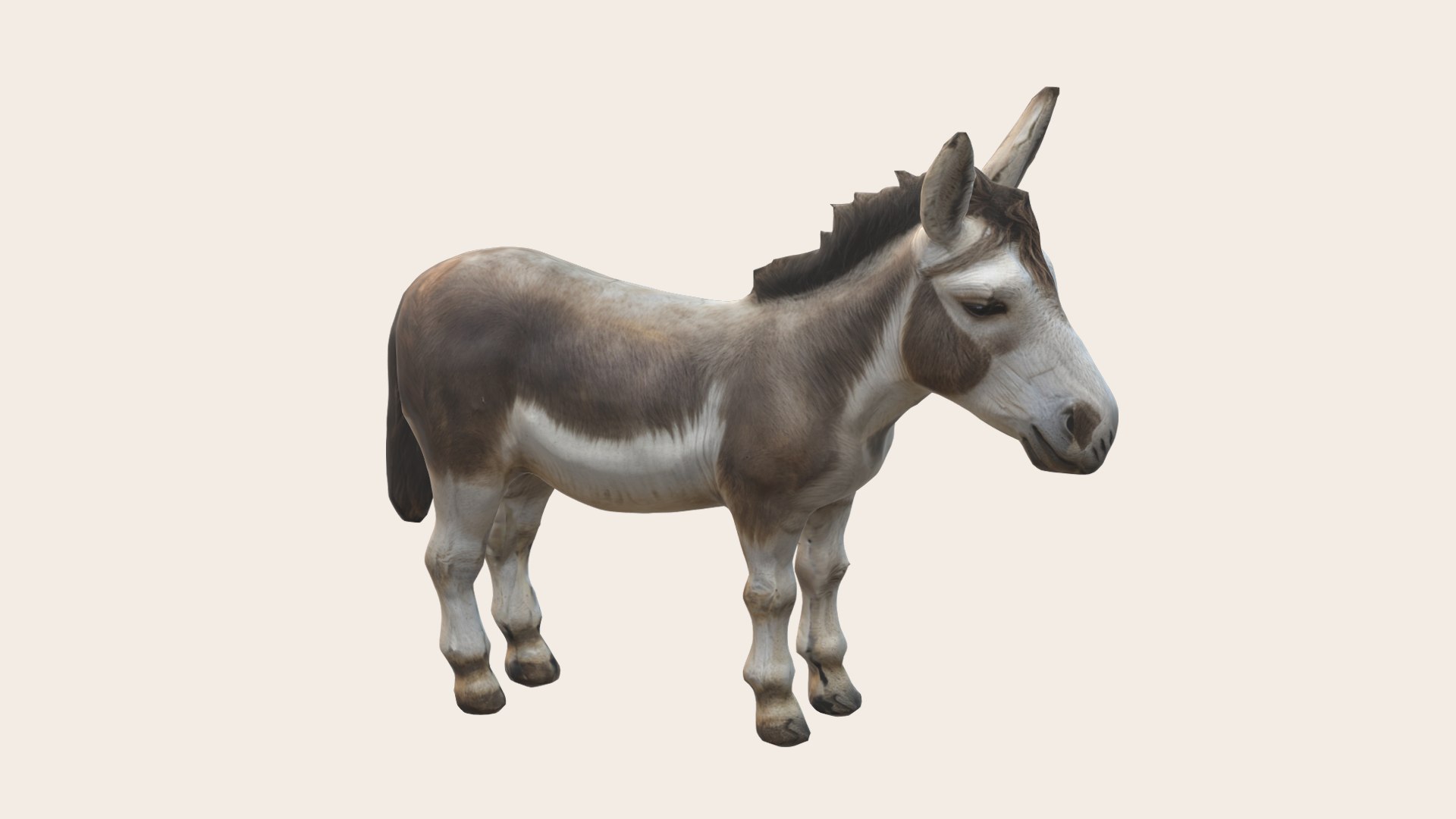 Donkey 3D Model - TurboSquid 2231892