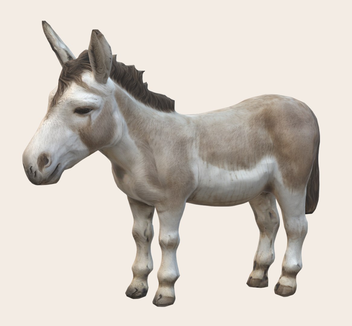 Donkey 3D Model - TurboSquid 2231892