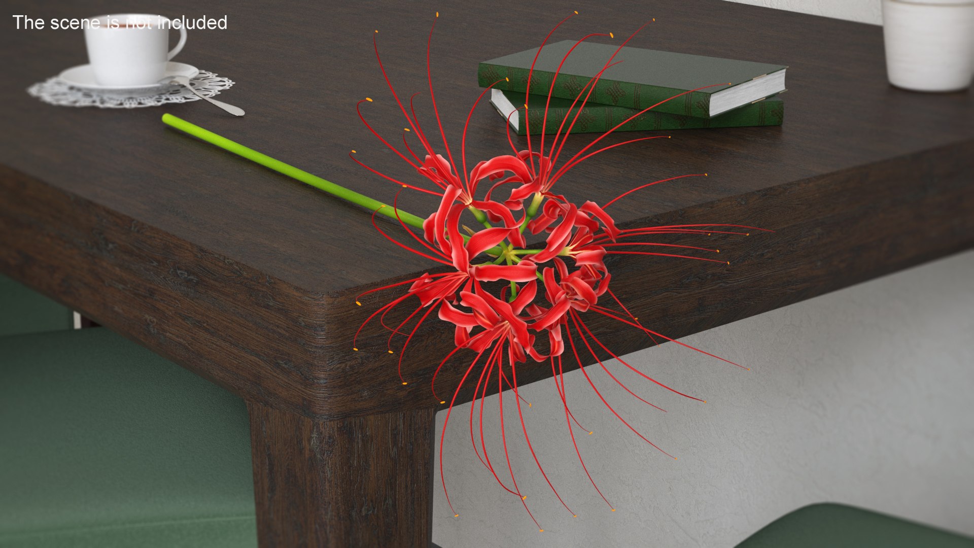 Spider Lily Flower 3D Model - TurboSquid 2045912
