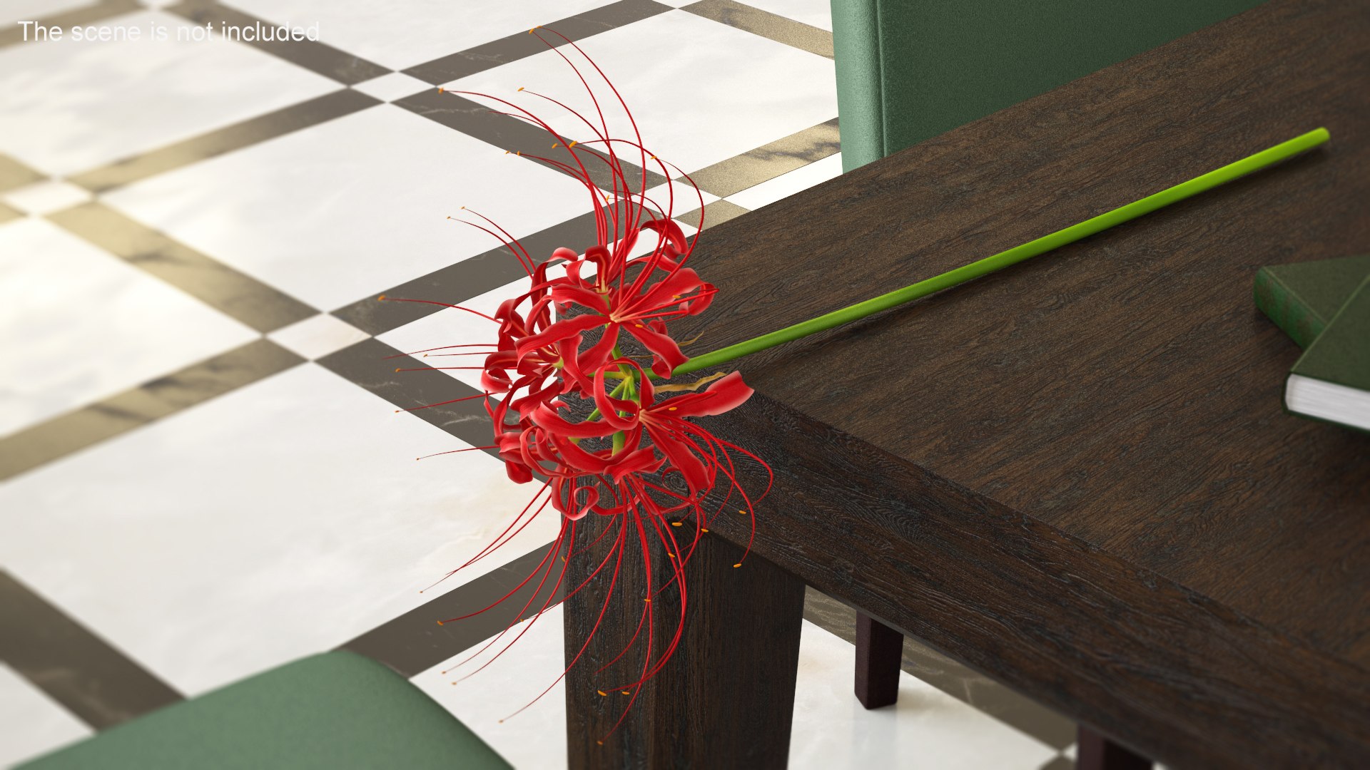 Spider Lily Flower 3D Model - TurboSquid 2045912