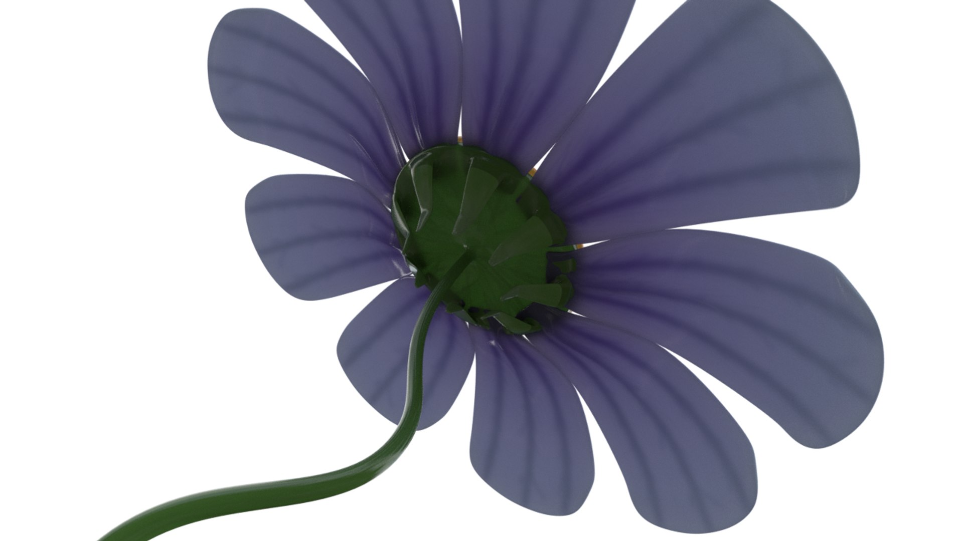 Growing Flower 3d Model