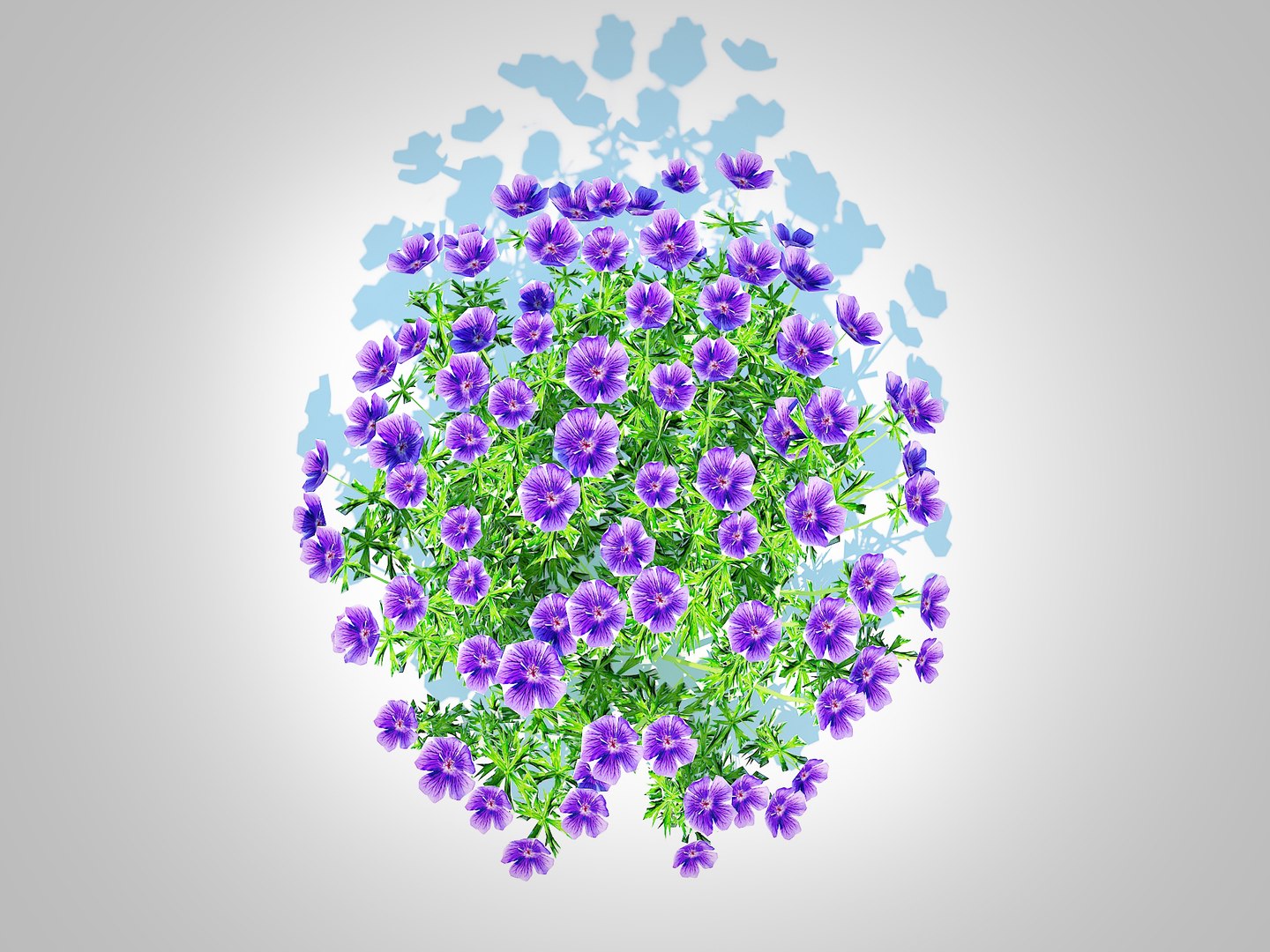 3D Geramium - Orion Cranesbill - TurboSquid 2306827