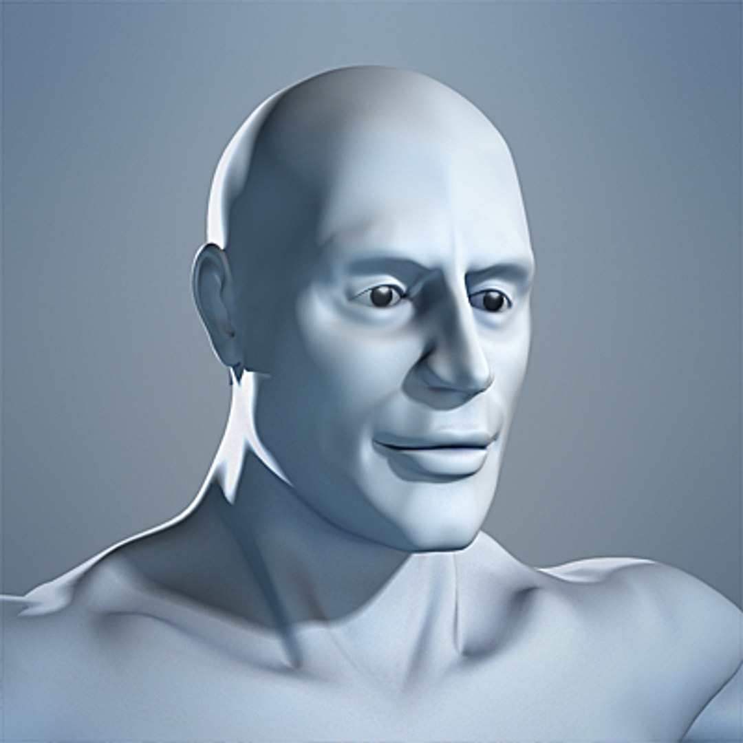 Circulatory Male Human Body Max