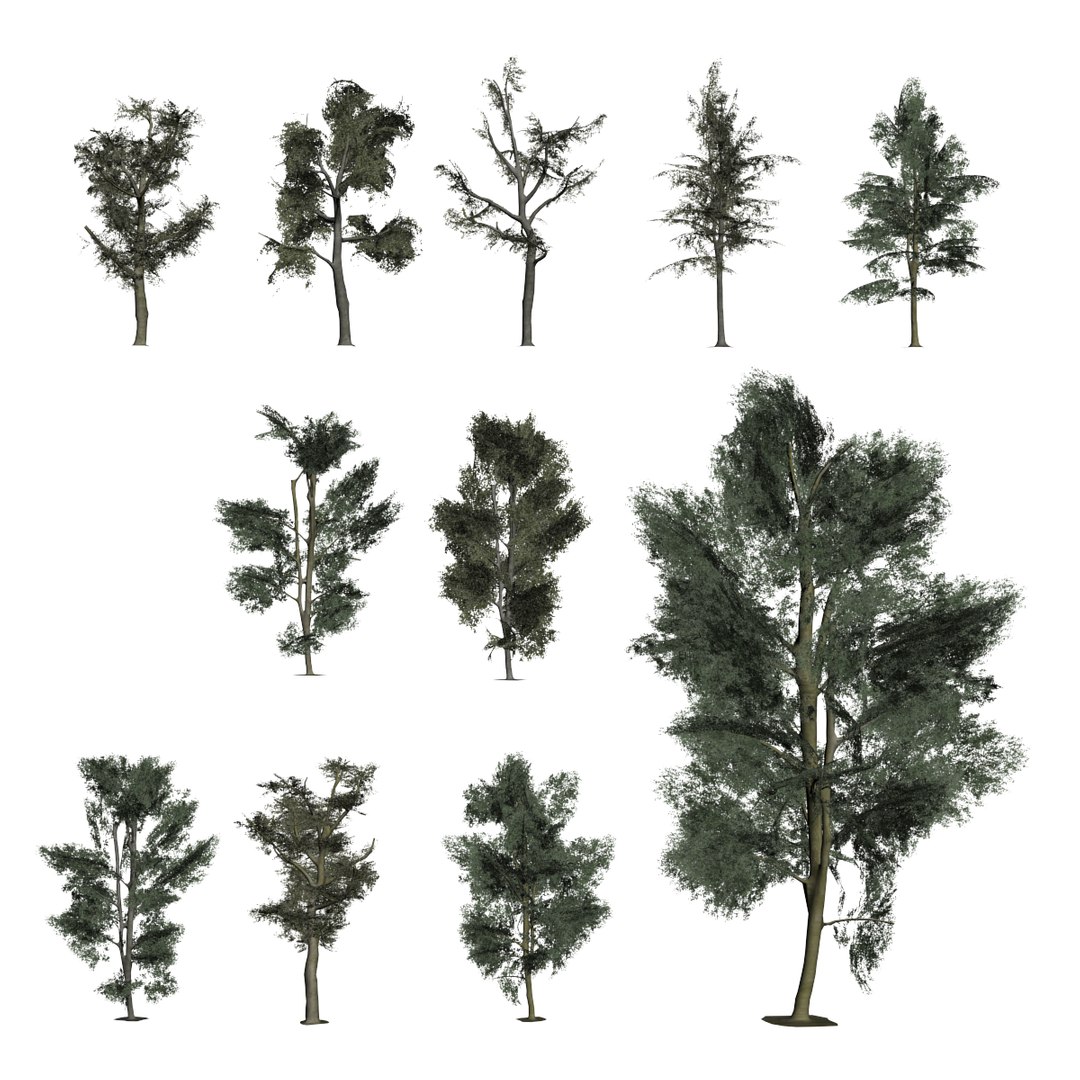 3D trees unity package - TurboSquid 1181690
