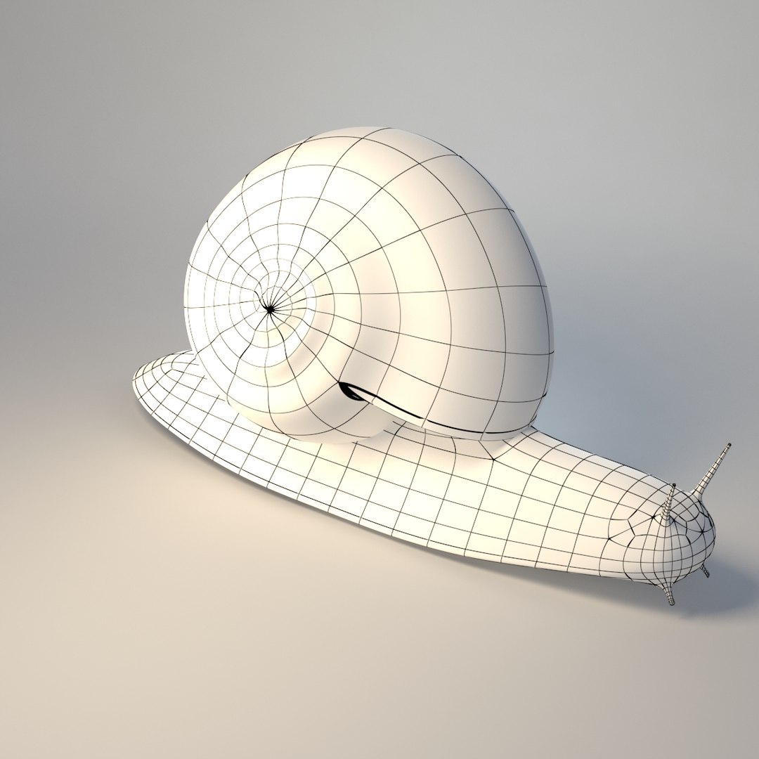 3D Snail Model - TurboSquid 1359135