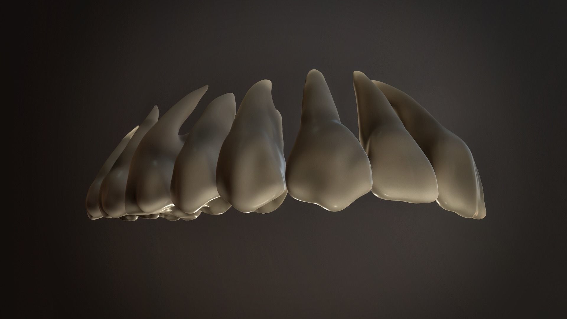 Teeth Pack 3D Model - TurboSquid 1683732